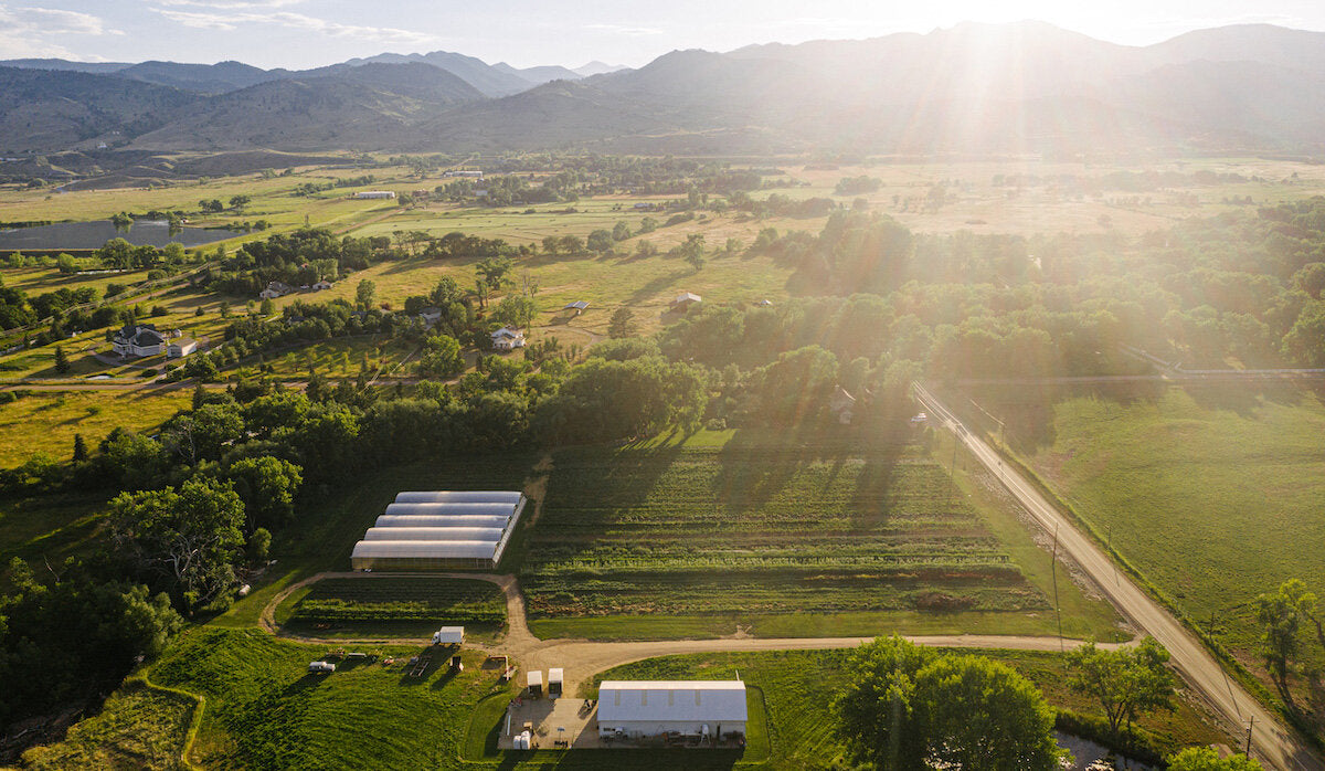 Venue – Boulder Flower Farm