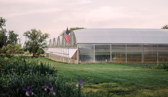 Venue – Boulder Flower Farm