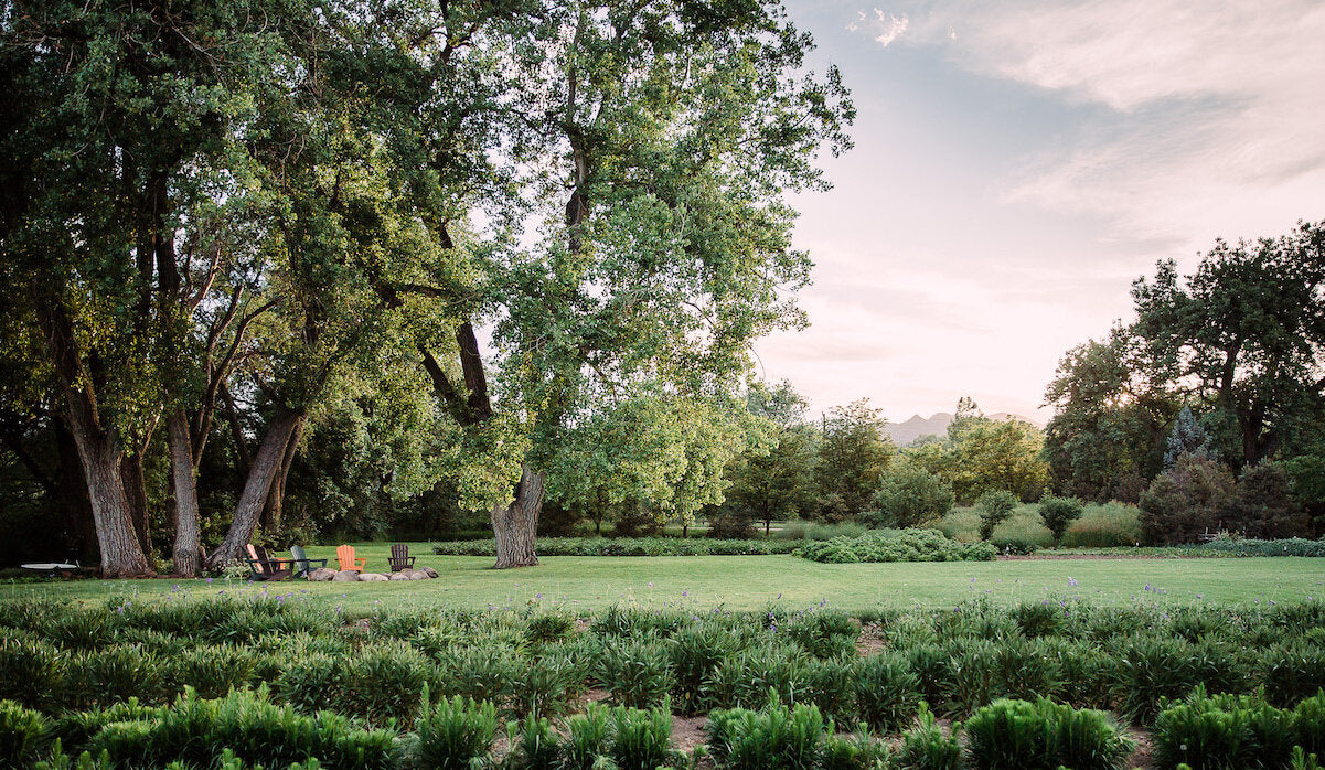 Venue – Boulder Flower Farm