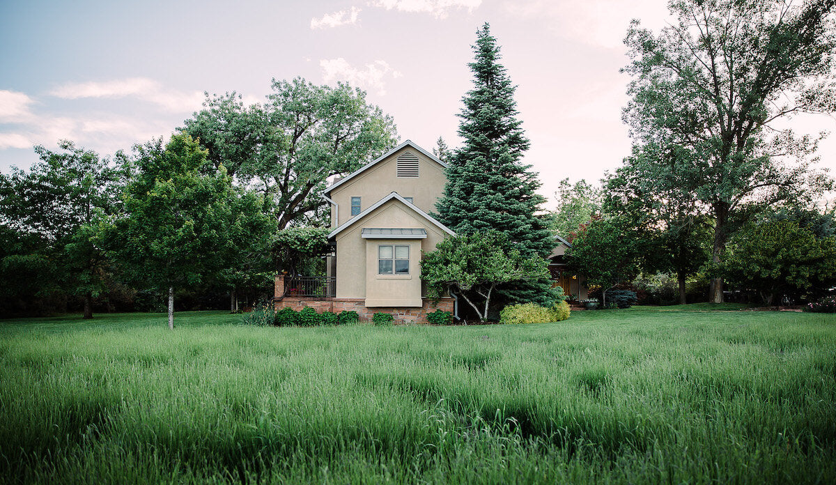 Venue – Boulder Flower Farm