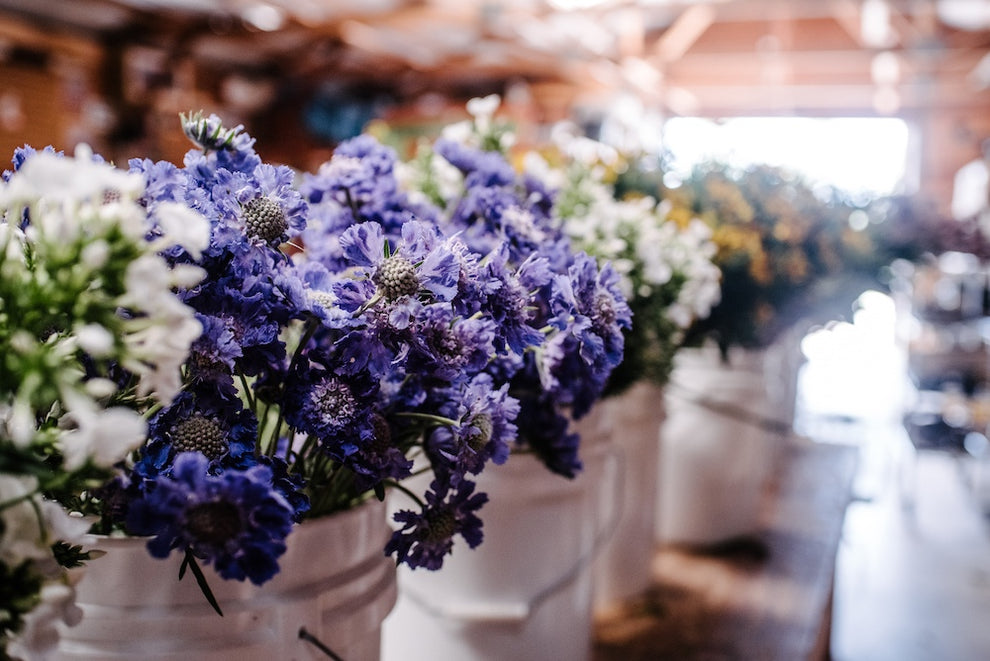 Wedding & Event Flowers – Boulder Flower Farm